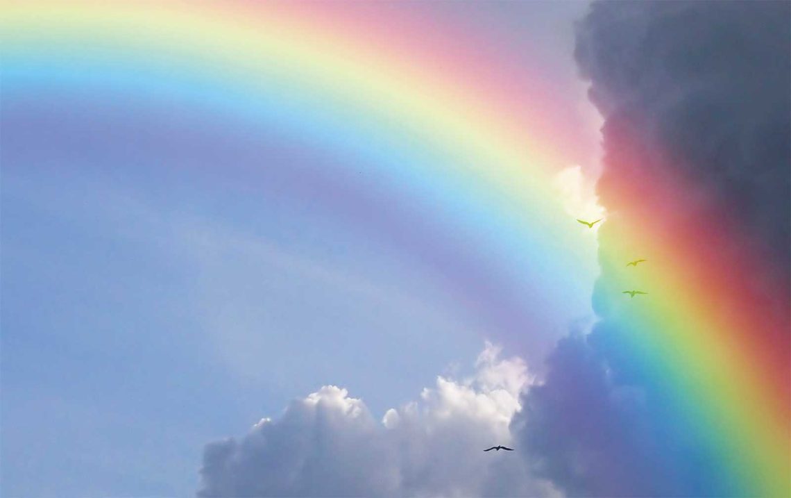 Phönix Journal “MEISTER DES REGENBOGENS”demnächst als Buch in Deutsch ...